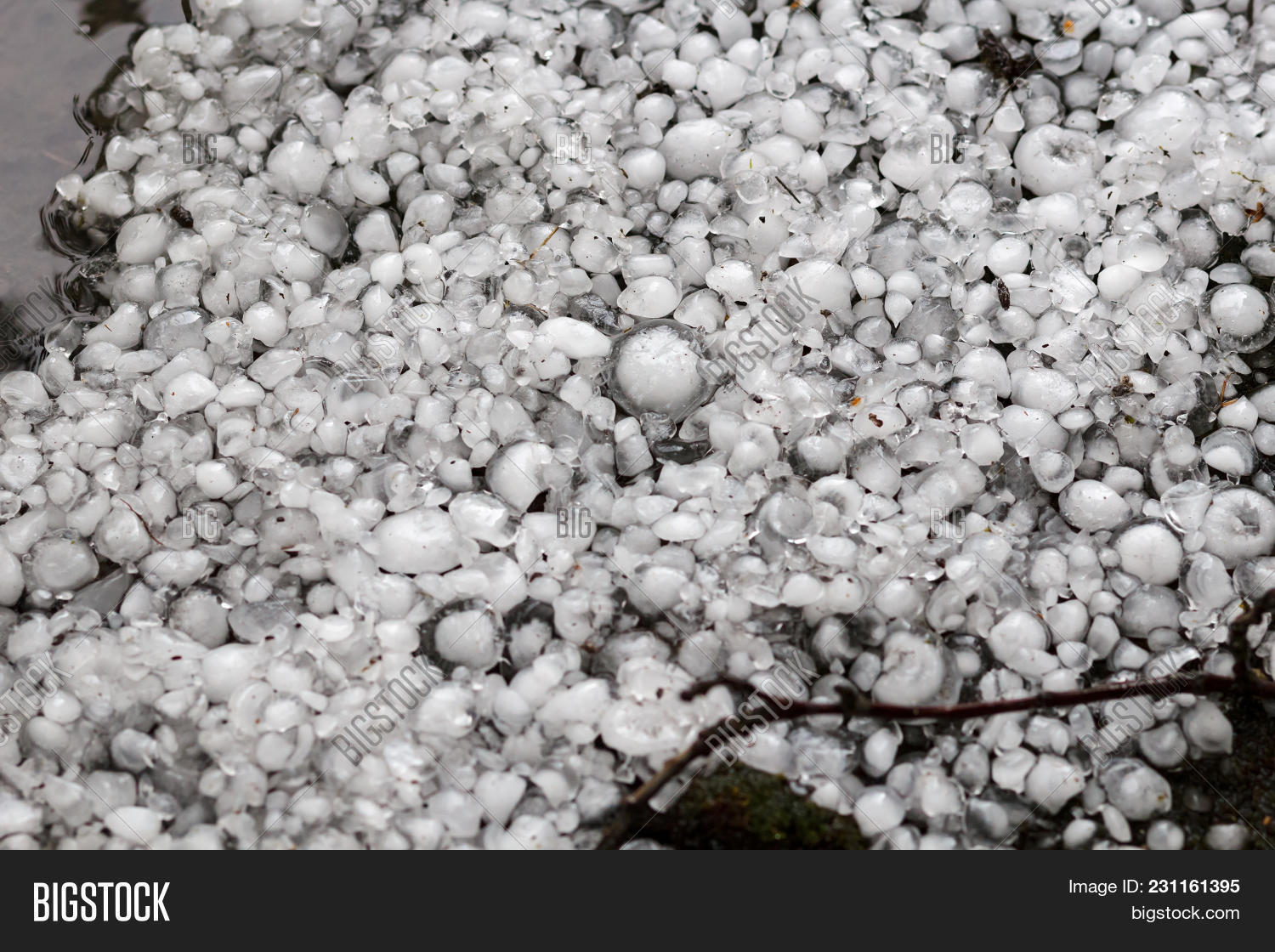 Hailstones On Ground Image & Photo (Free Trial) | Bigstock
