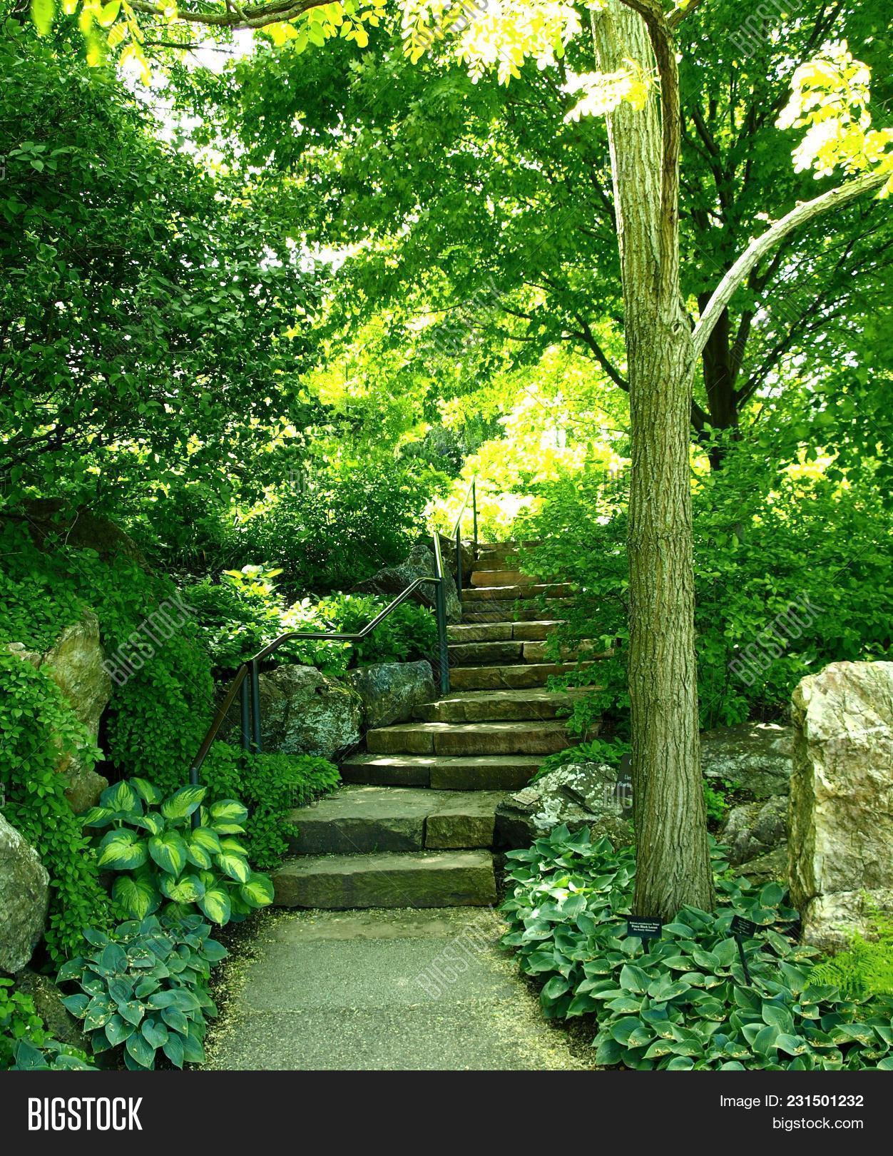 Picturesque Pathway Image & Photo (Free Trial) | Bigstock