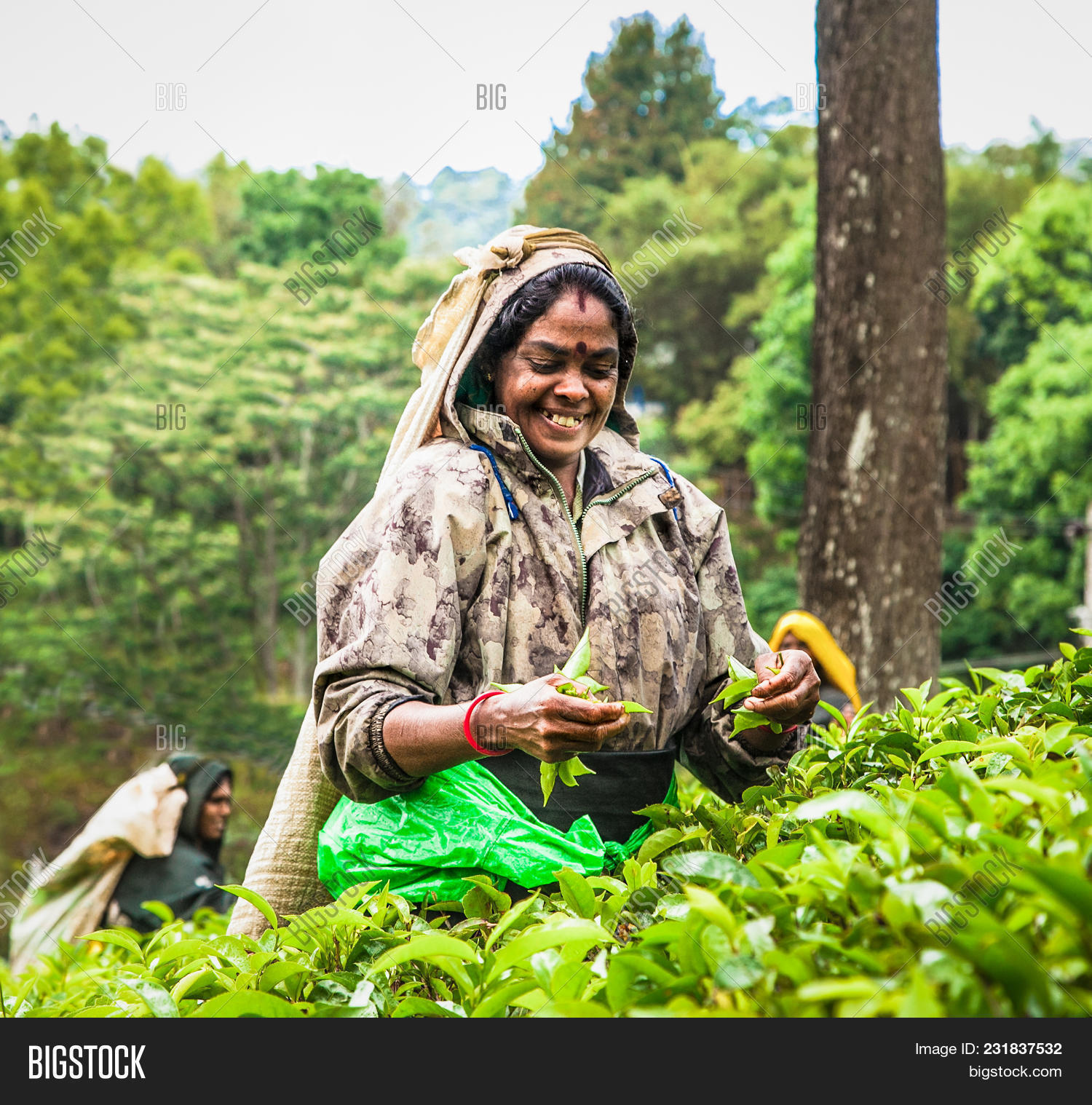 ELLA, SRI LANKA - DEC Image & Photo (Free Trial) | Bigstock