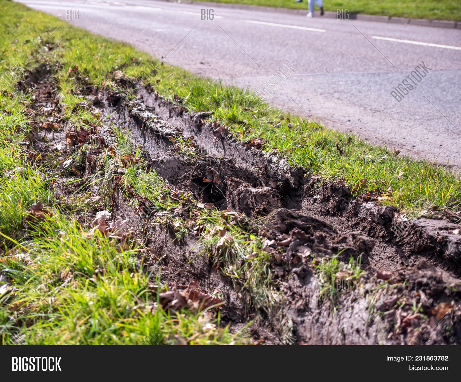 Closeup View Car Wheel Image & Photo (Free Trial) | Bigstock