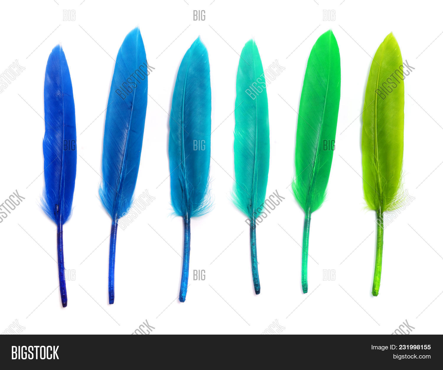 Blue Green Feathers. Image & Photo (Free Trial) | Bigstock