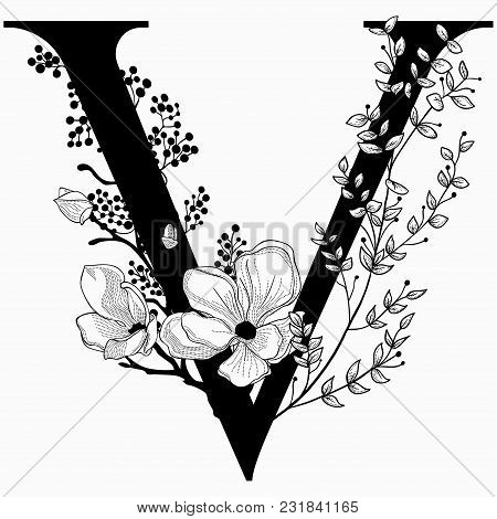 Vector Hand Drawn Vector & Photo (Free Trial) | Bigstock
