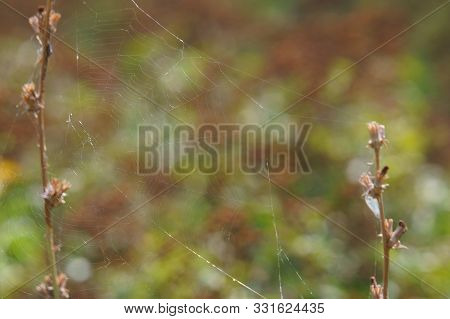 Photos Beautiful Wild Image & Photo (Free Trial) | Bigstock