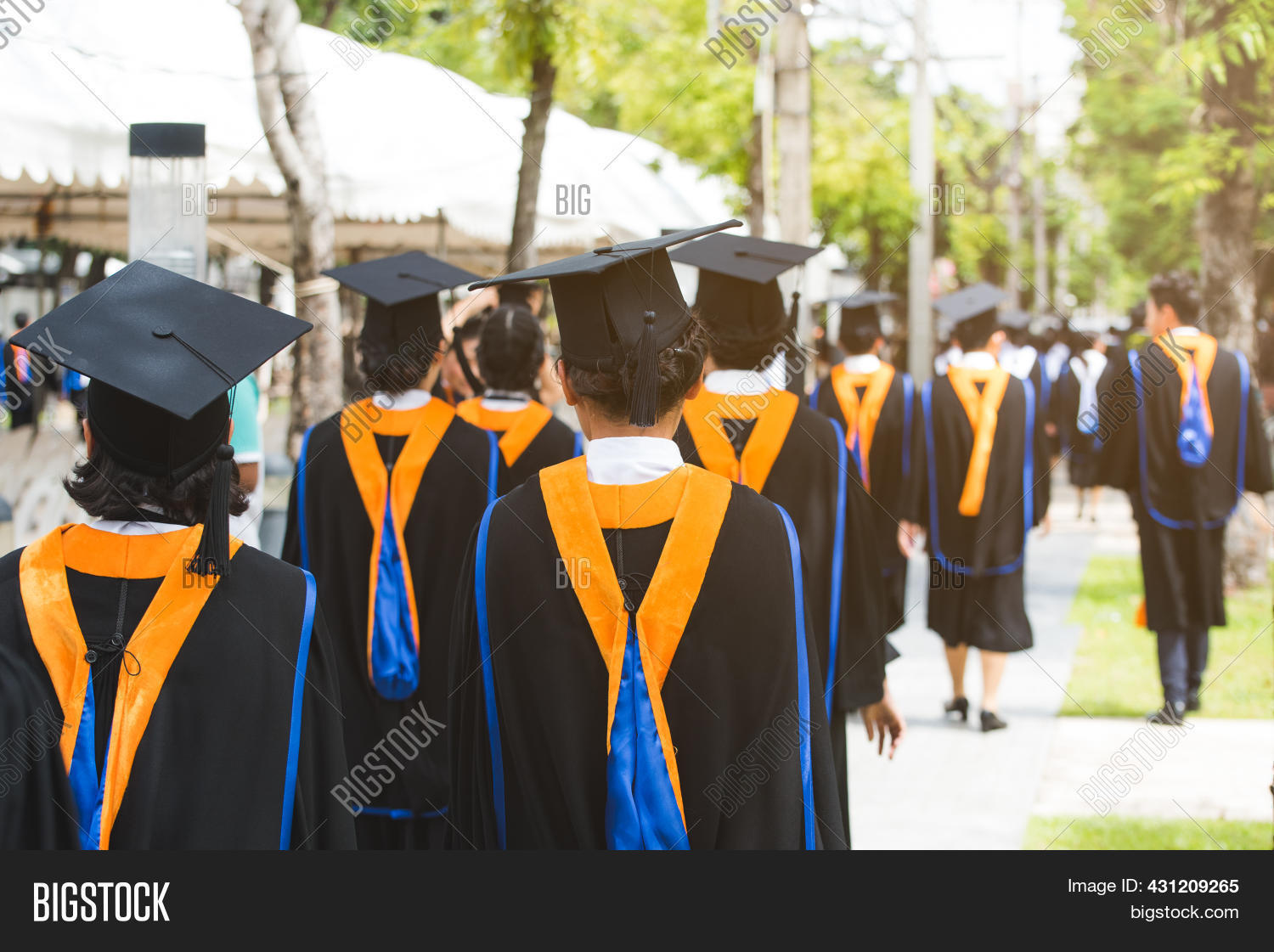 Group Graduates During Image & Photo (Free Trial) | Bigstock