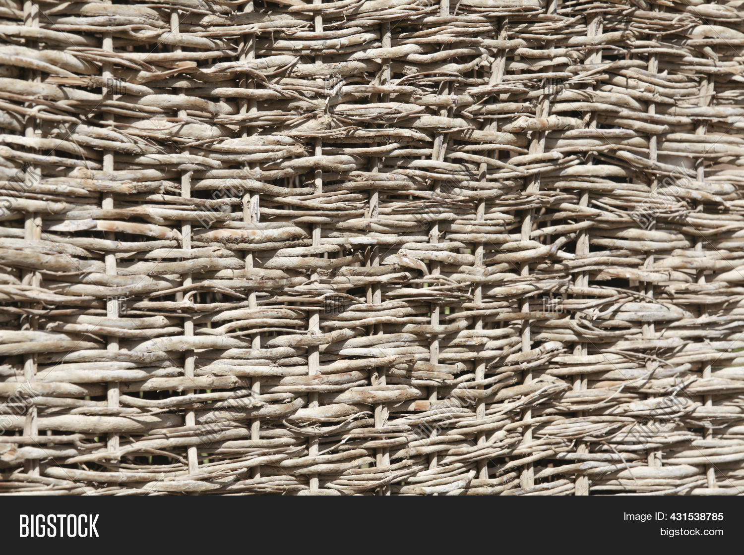 Weaving Branches. Image & Photo (Free Trial) | Bigstock