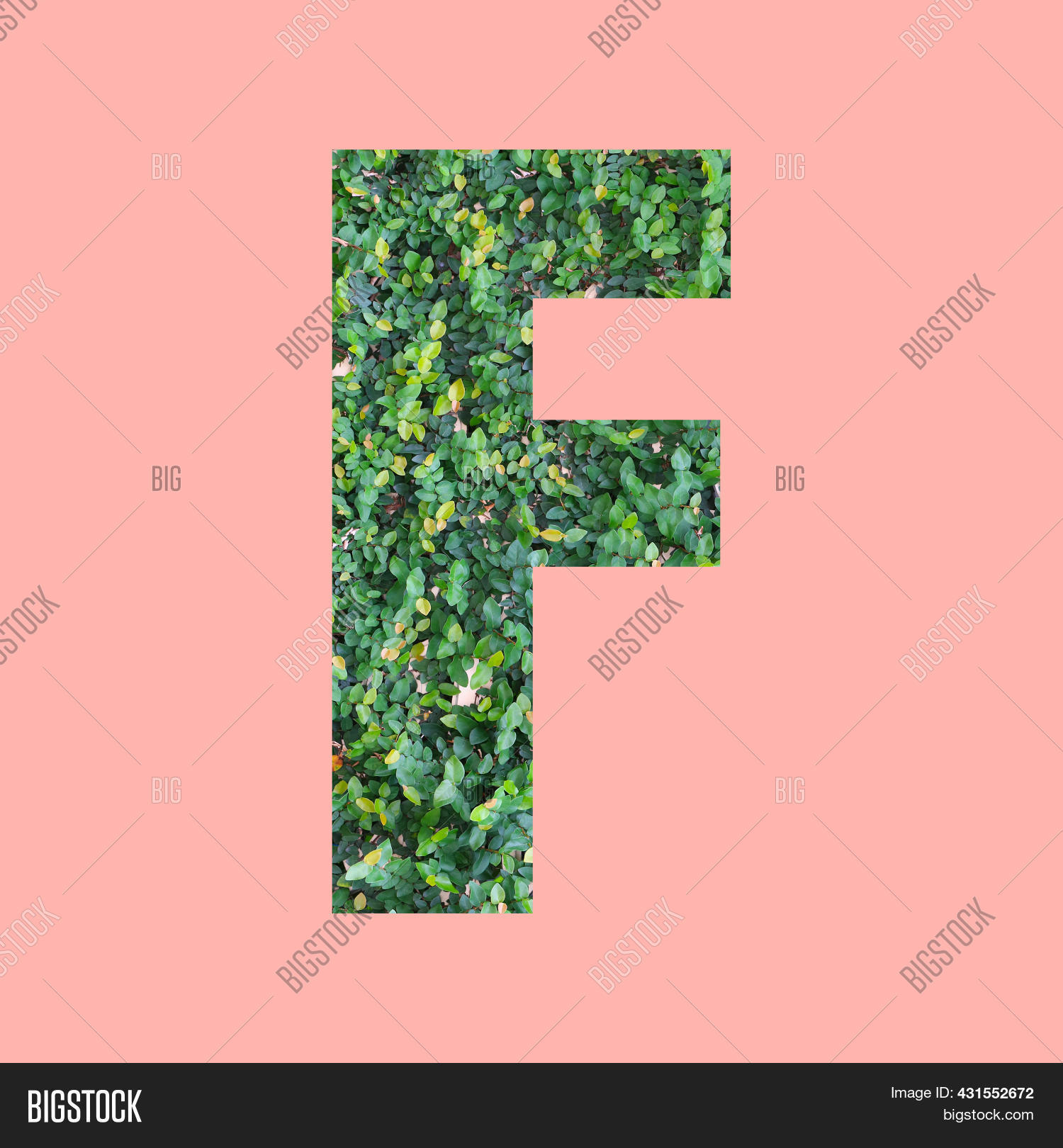 Alphabet Letters Shape Image & Photo (Free Trial) | Bigstock
