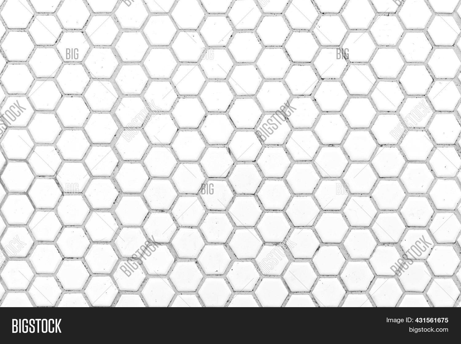 Pattern Clean Grid Image & Photo (Free Trial) | Bigstock
