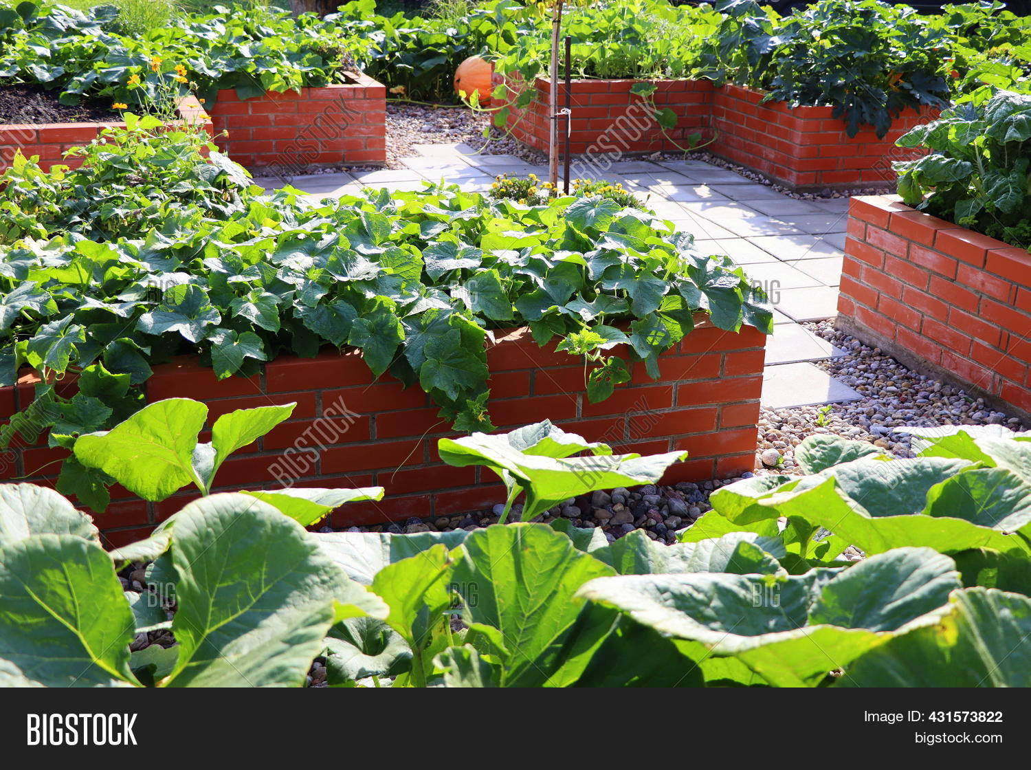 Modern Vegetable Image & Photo (Free Trial) | Bigstock
