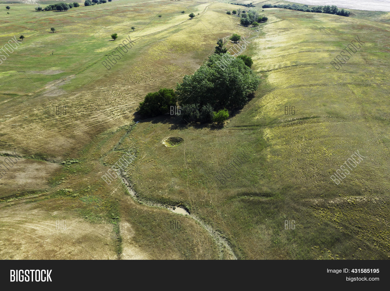 Steppe Landscape Trees Image & Photo (Free Trial) | Bigstock
