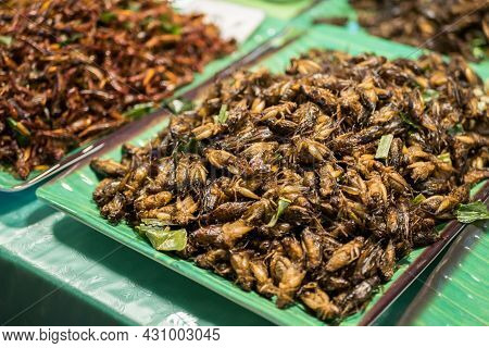 Deep Fried Crickets Image & Photo (Free Trial) | Bigstock