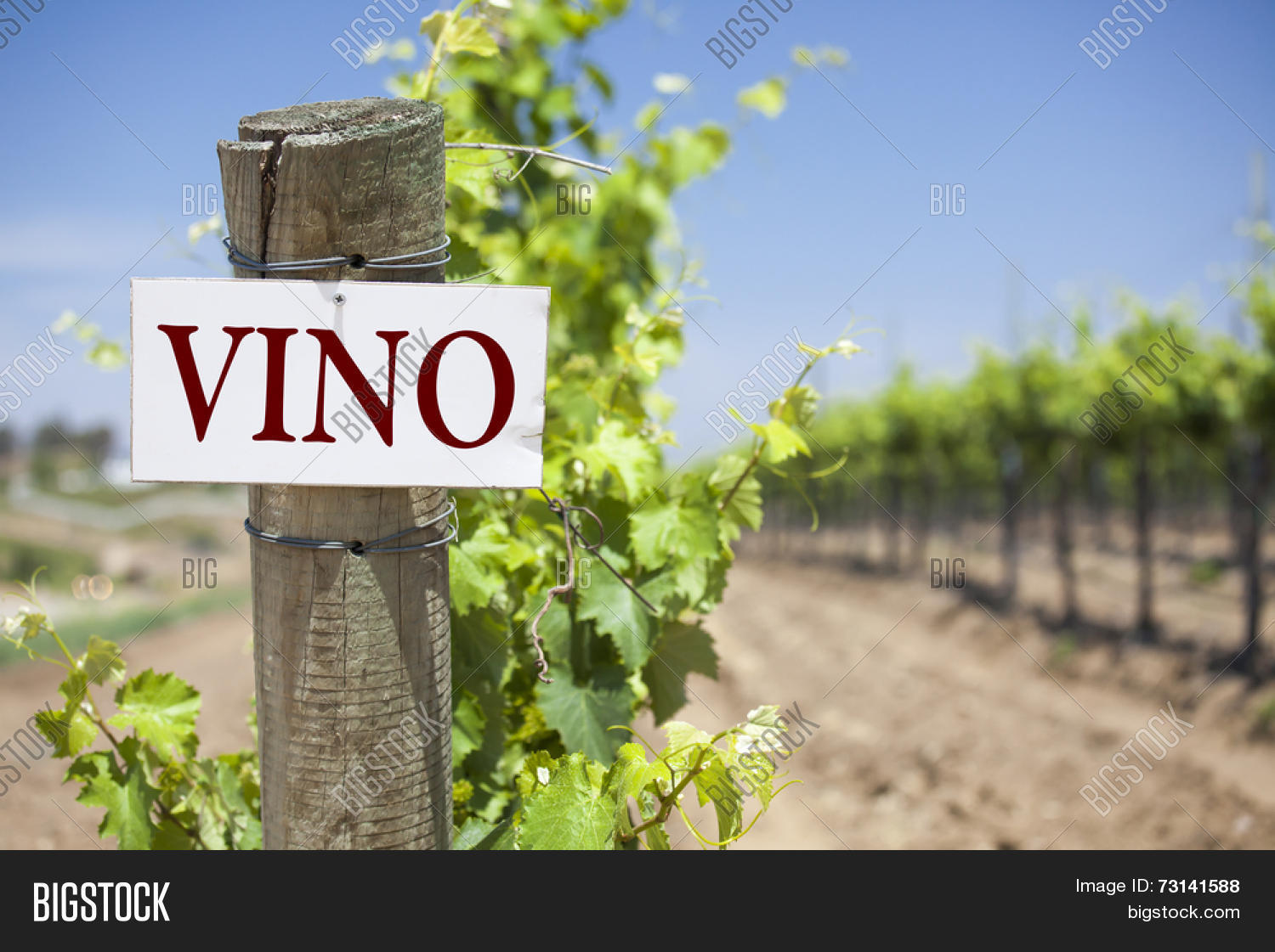 Vino Sign On Post End Image & Photo (Free Trial) | Bigstock
