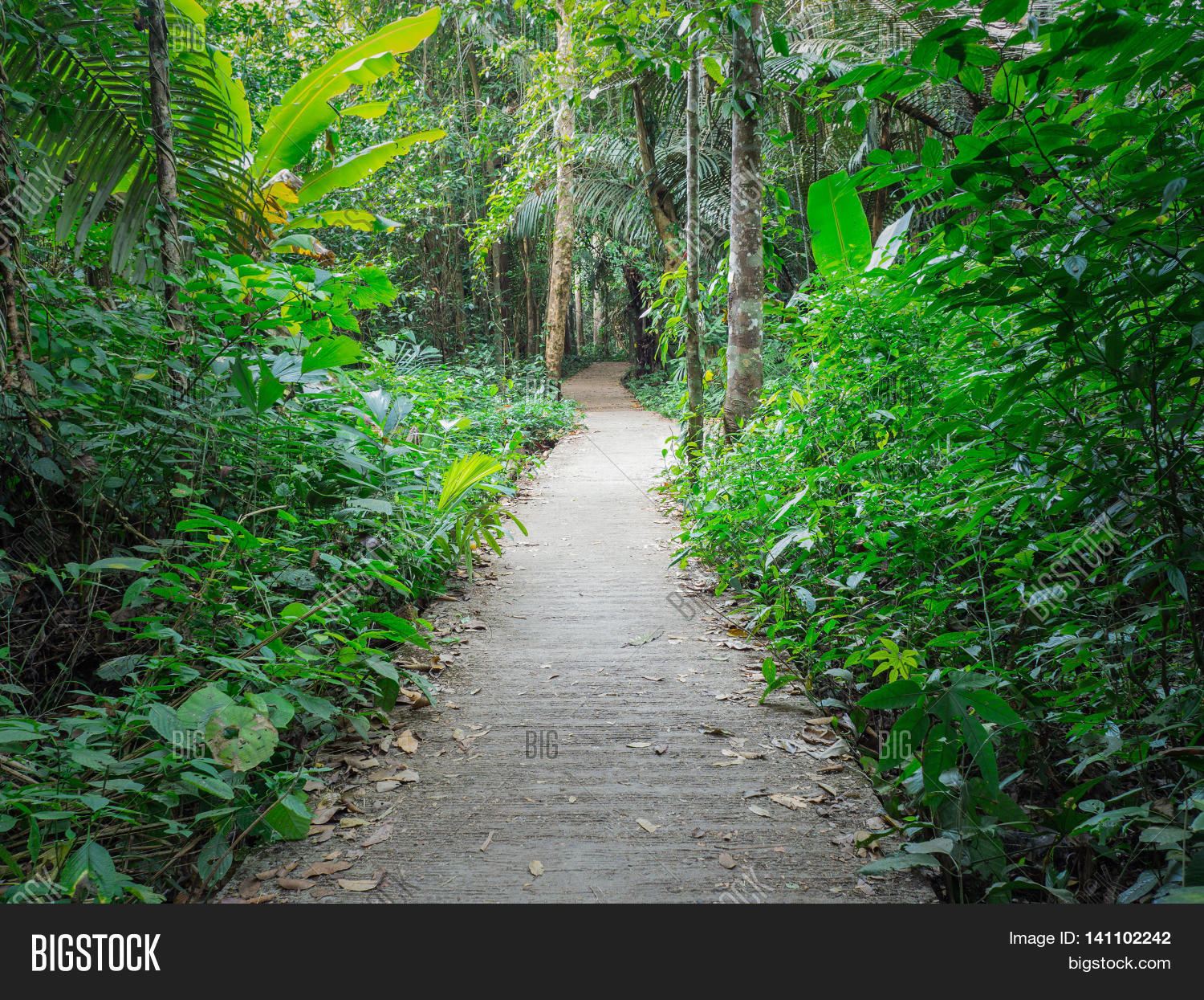 Walkway Lane Path Image & Photo (Free Trial) | Bigstock