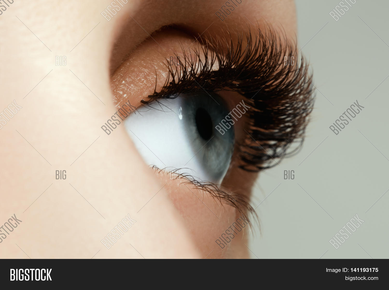 Female Eye Long Image & Photo (Free Trial) | Bigstock