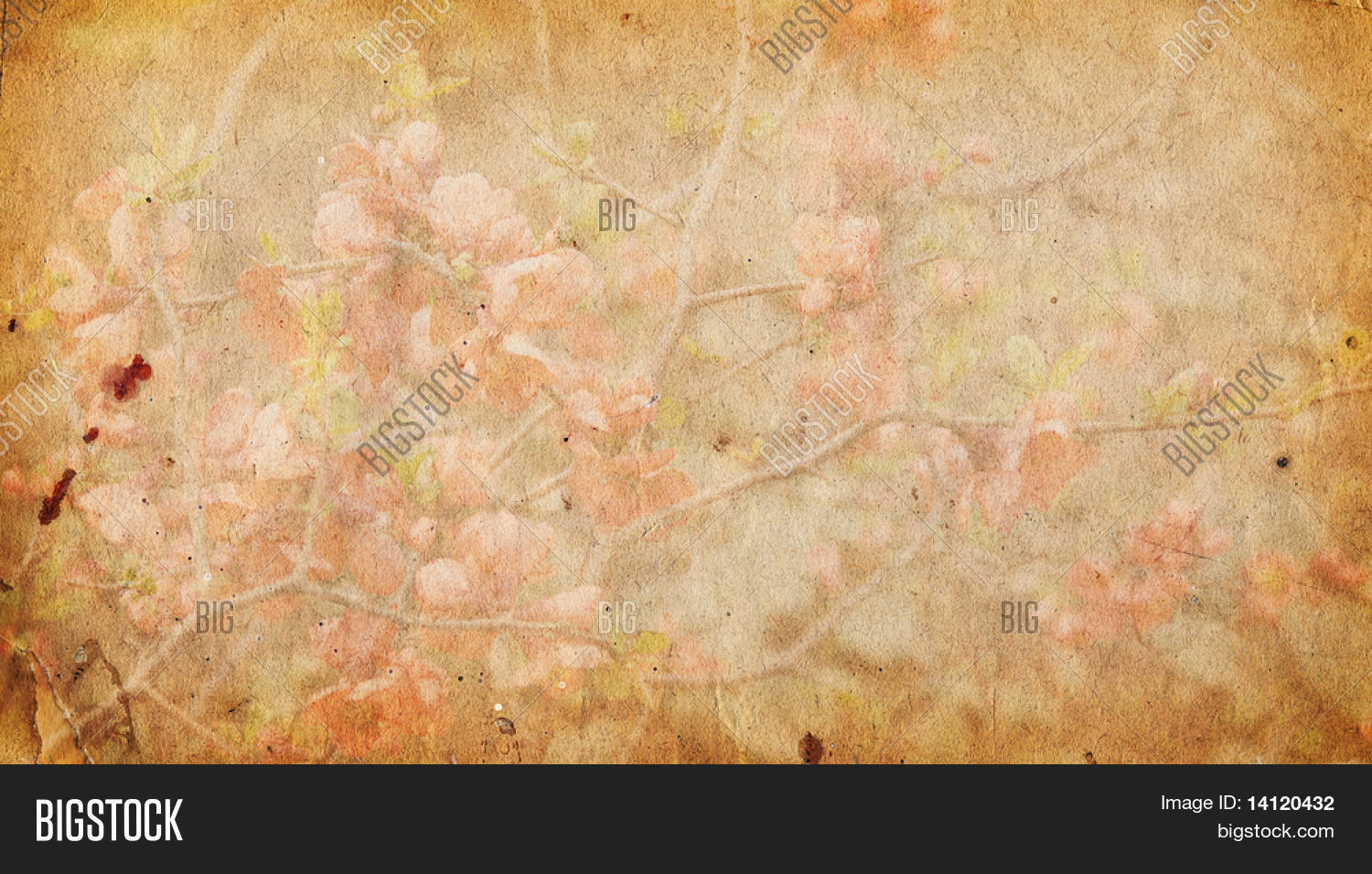 Old Paper Flower Image & Photo (Free Trial) | Bigstock