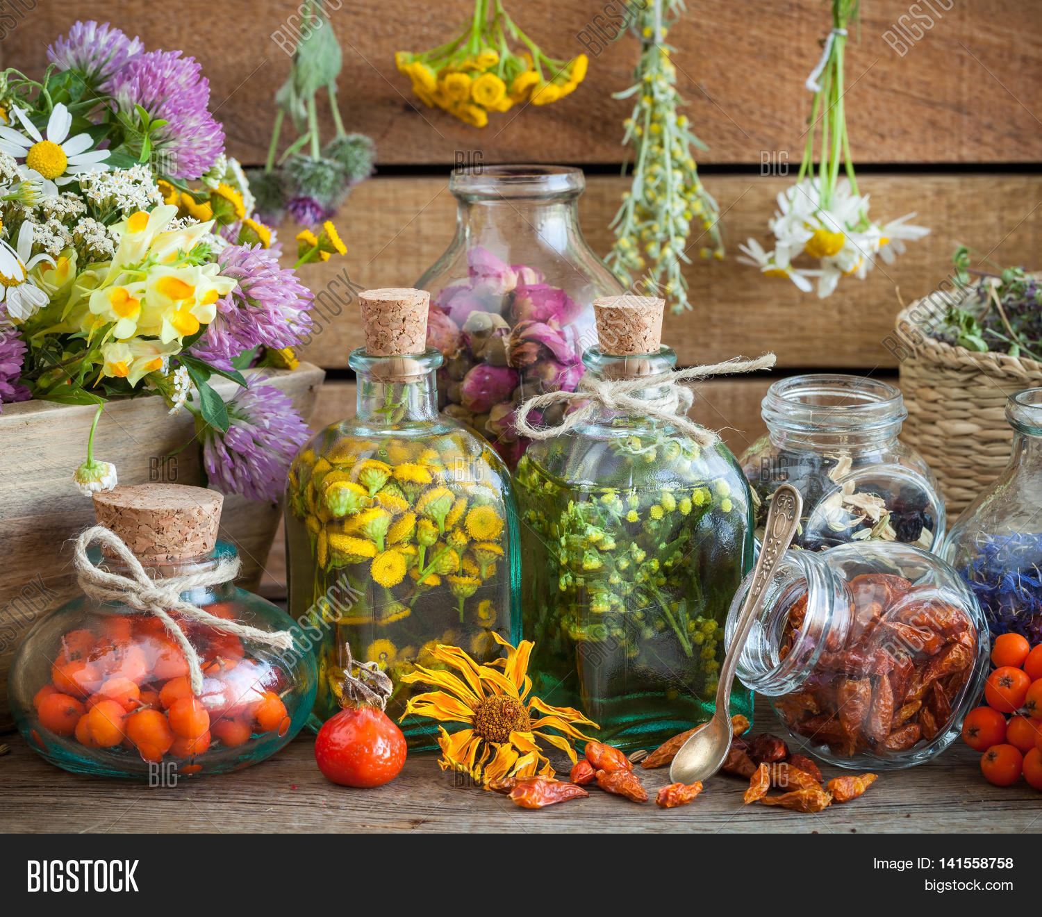 Bottles Tincture Image & Photo (Free Trial) | Bigstock