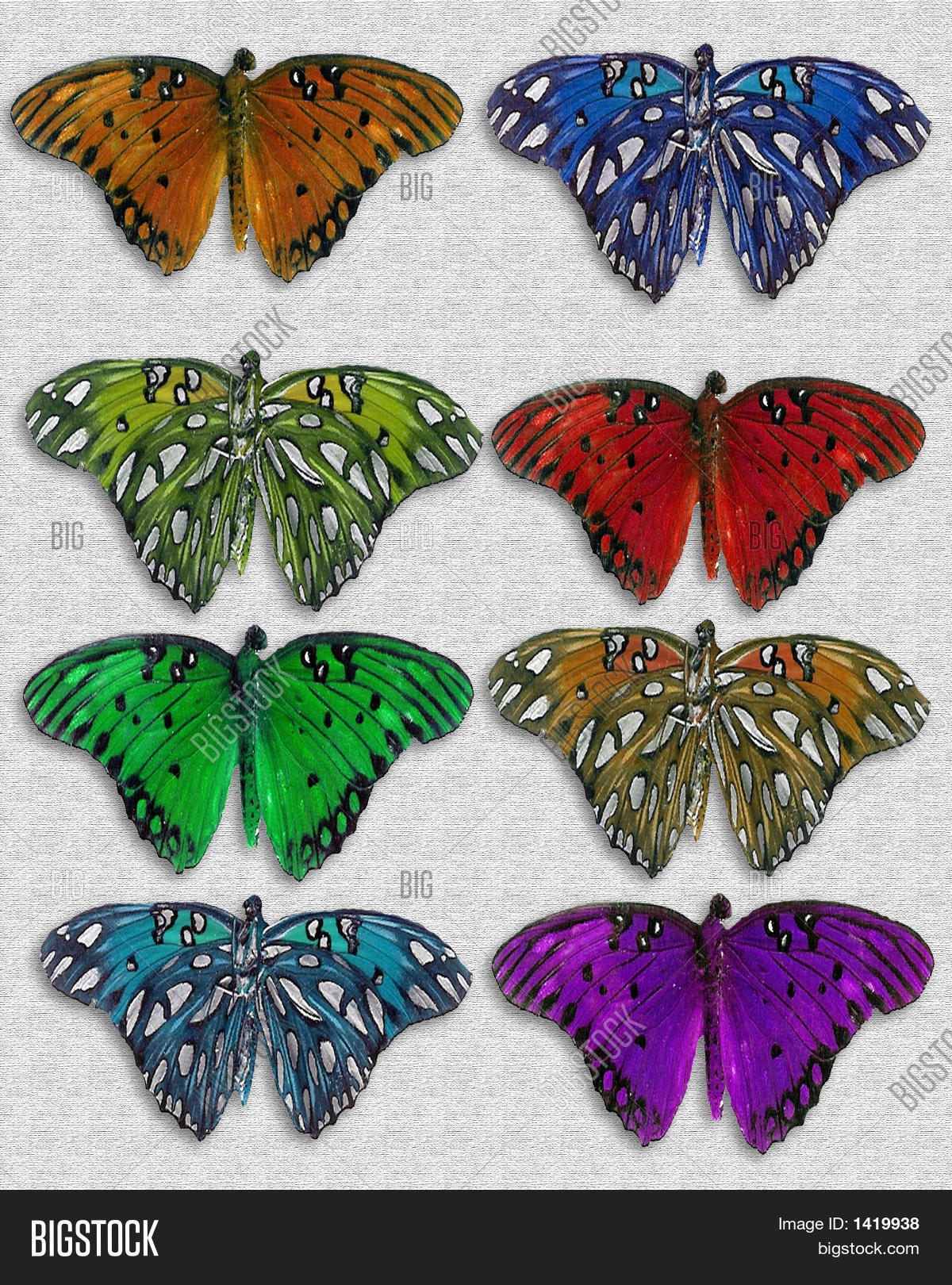 8 Butterflies On Image & Photo (Free Trial) | Bigstock