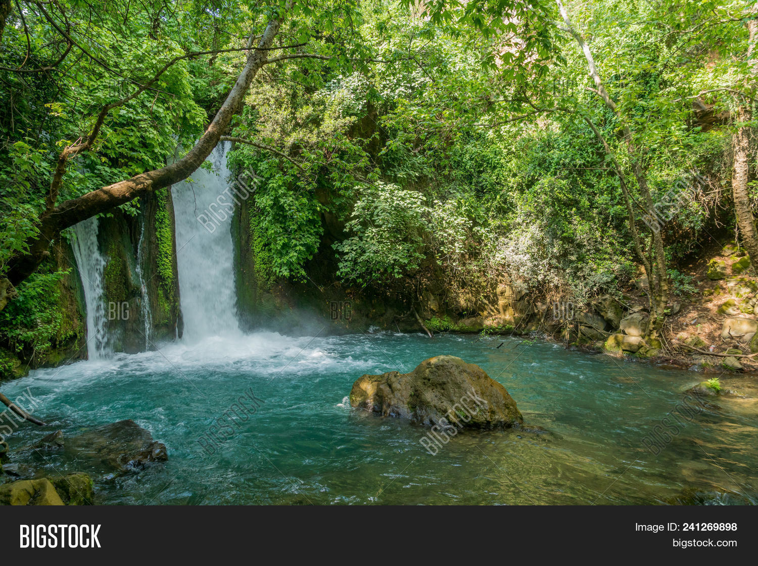 Banias (banyas) Image & Photo (Free Trial) | Bigstock
