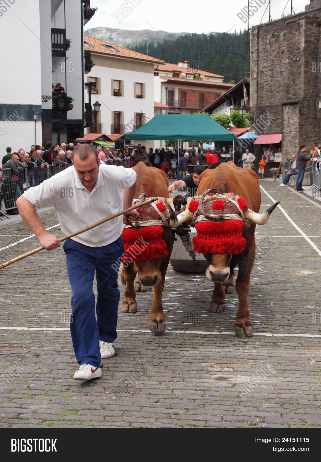 Basque Rural Sports - Image & Photo (Free Trial) | Bigstock