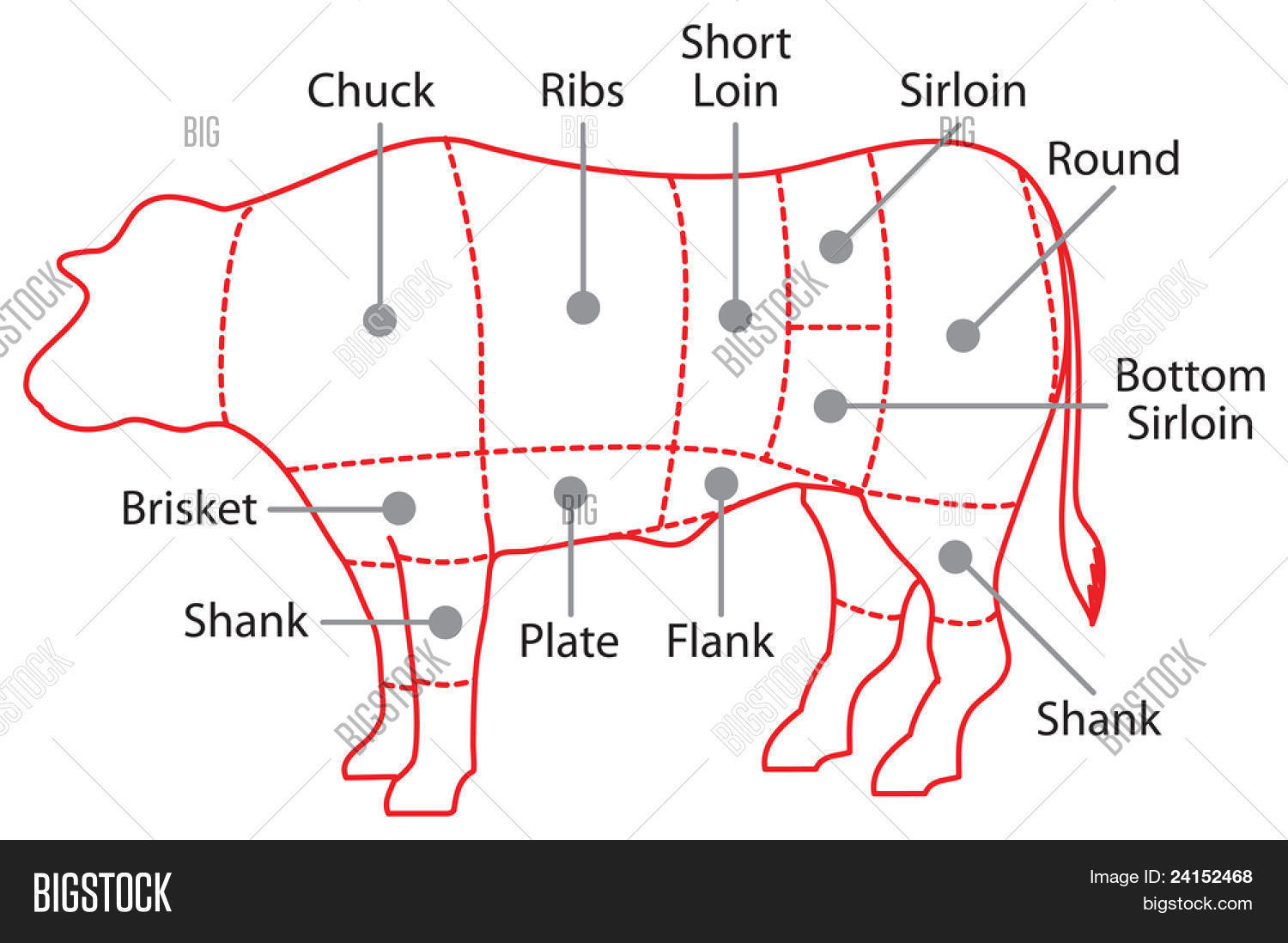 Beef Chart Poster Image & Photo (Free Trial) | Bigstock