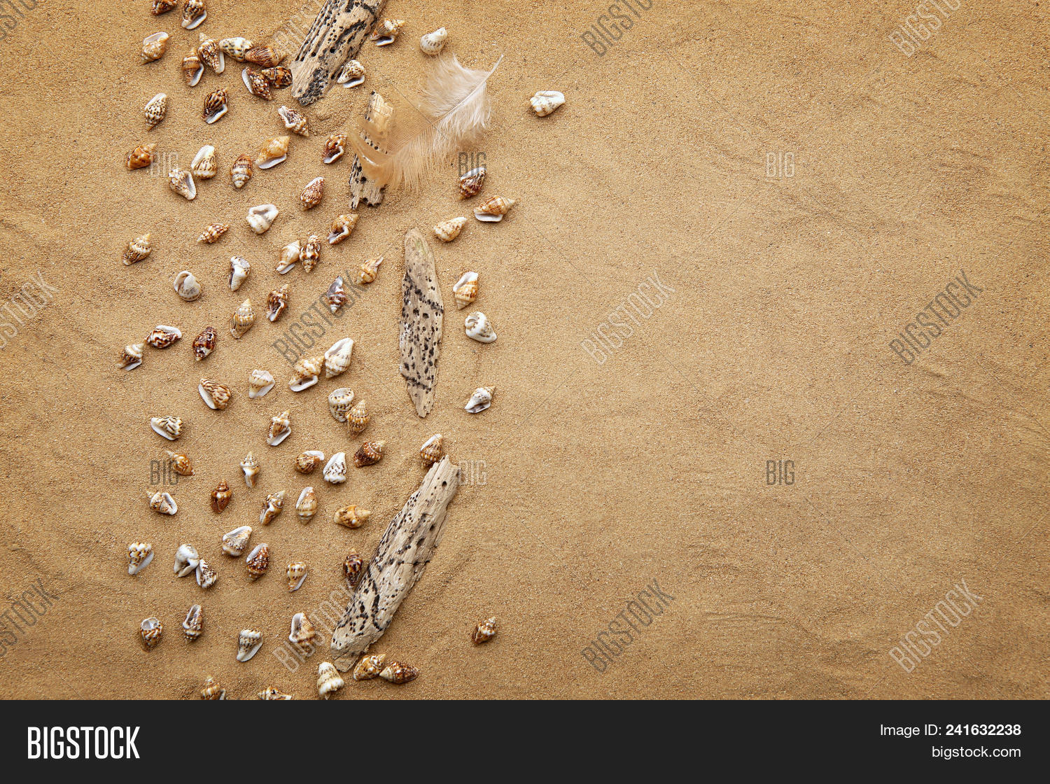 Beach Sand Tiny Sea Image & Photo (Free Trial) | Bigstock