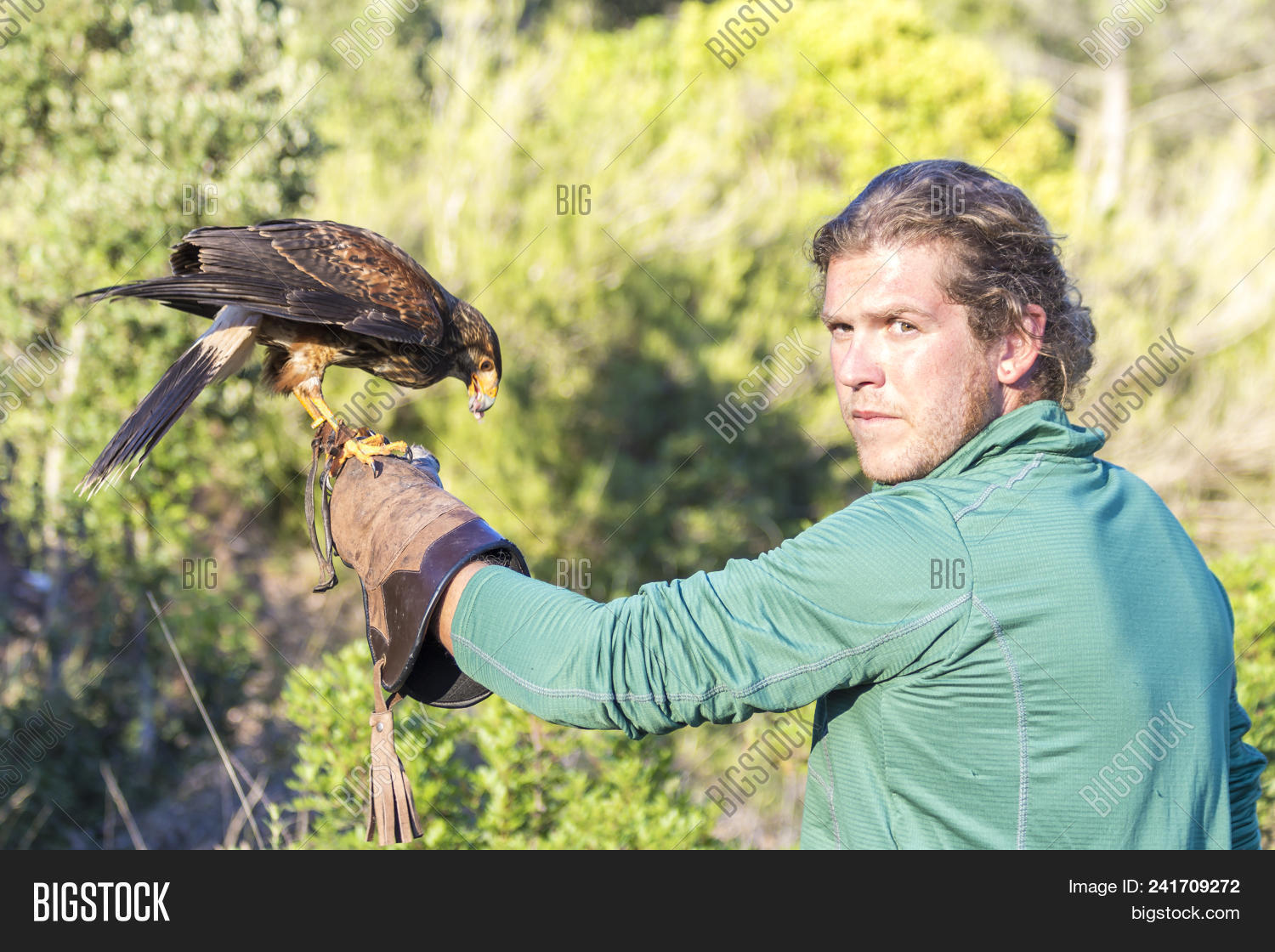 Man Holding Falcon On Image & Photo (Free Trial) | Bigstock