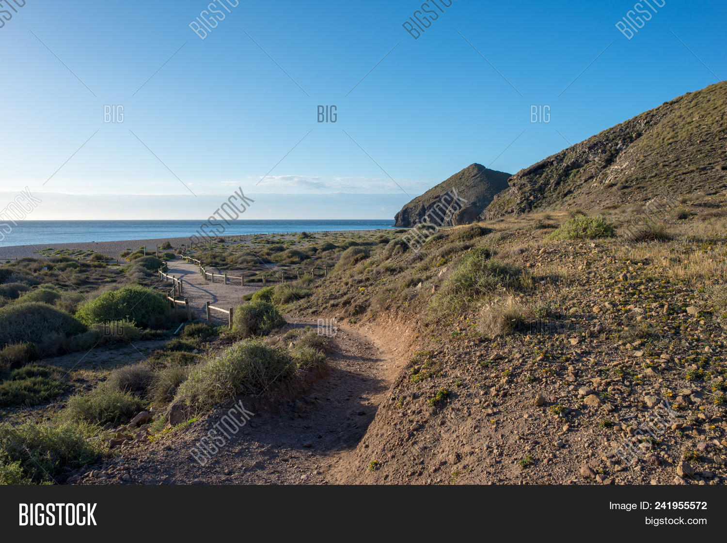 Beach Dead Sun Blue Image & Photo (Free Trial) | Bigstock