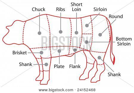 Beef Chart Poster Image & Photo (Free Trial) | Bigstock