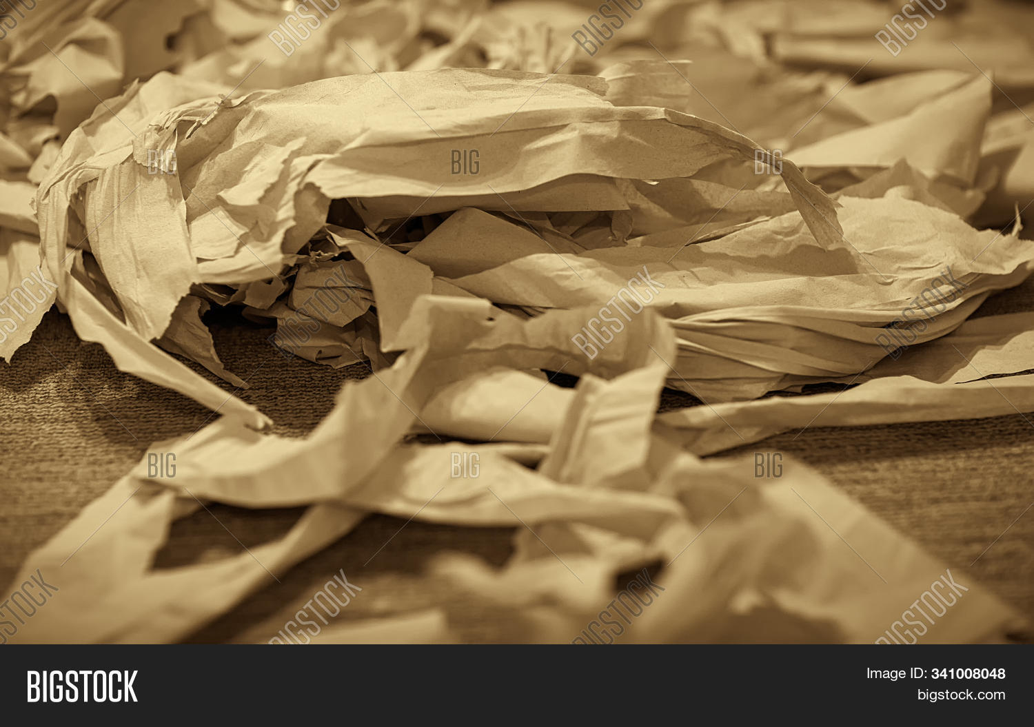 Roll Toilet Paper Torn Image & Photo (Free Trial) | Bigstock