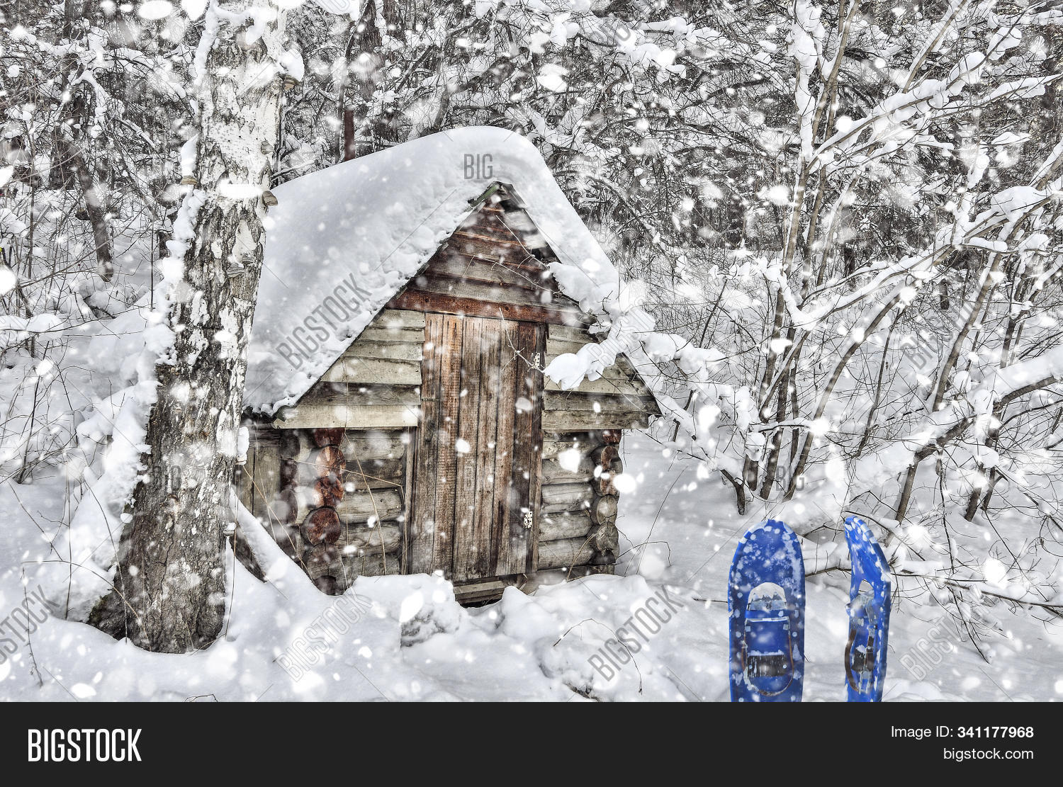 Little Old Wooden Hut Image & Photo (Free Trial) | Bigstock