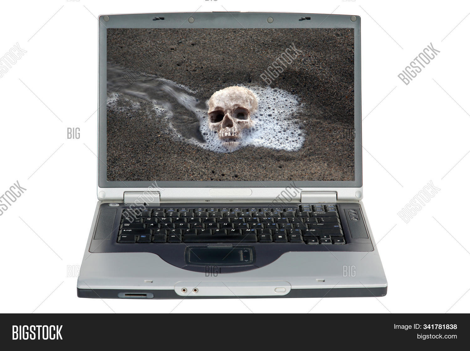 Laptop Computer. Human Image & Photo (Free Trial) | Bigstock