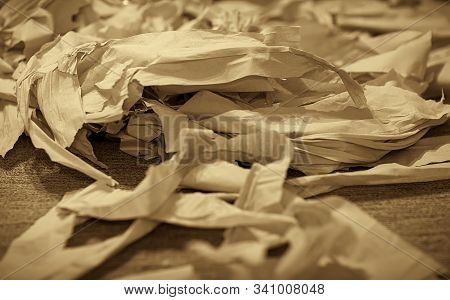 Roll Toilet Paper Torn Image & Photo (Free Trial) | Bigstock
