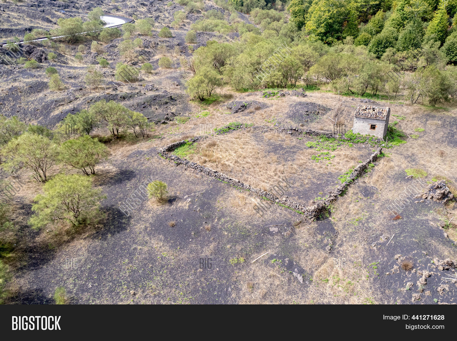 Aerial Views Woods Image & Photo (Free Trial) | Bigstock