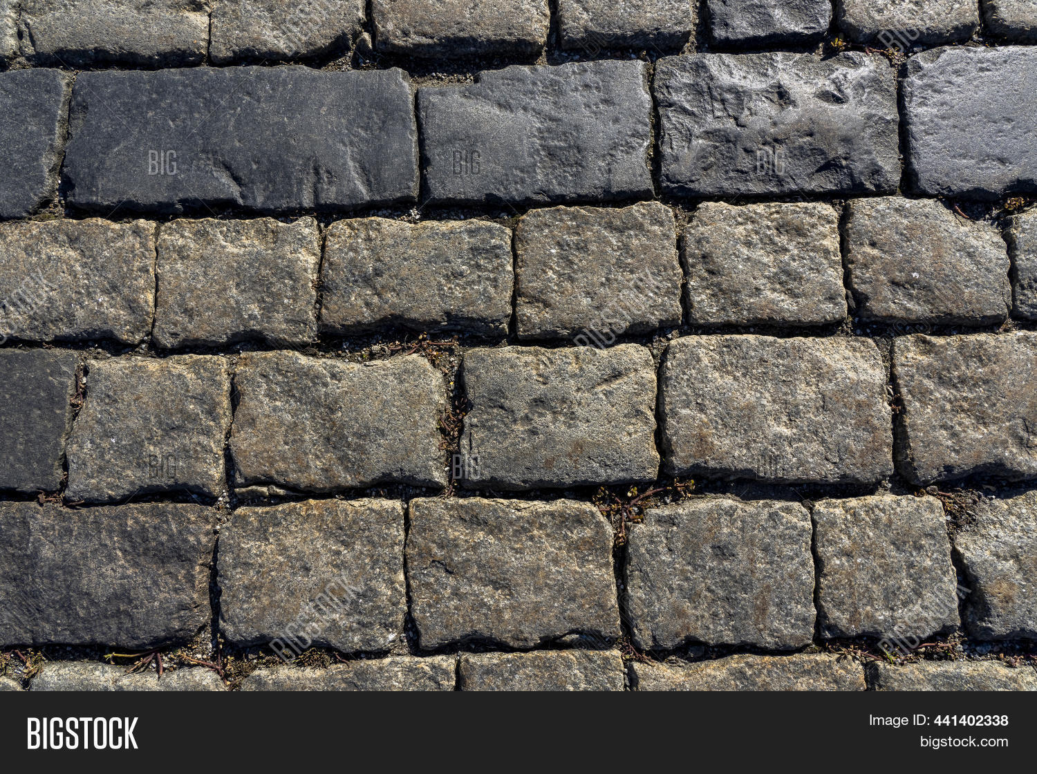 Grey Paving Stone Image & Photo (Free Trial) | Bigstock