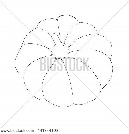 Pumpkin Contour Black Vector & Photo (Free Trial) | Bigstock