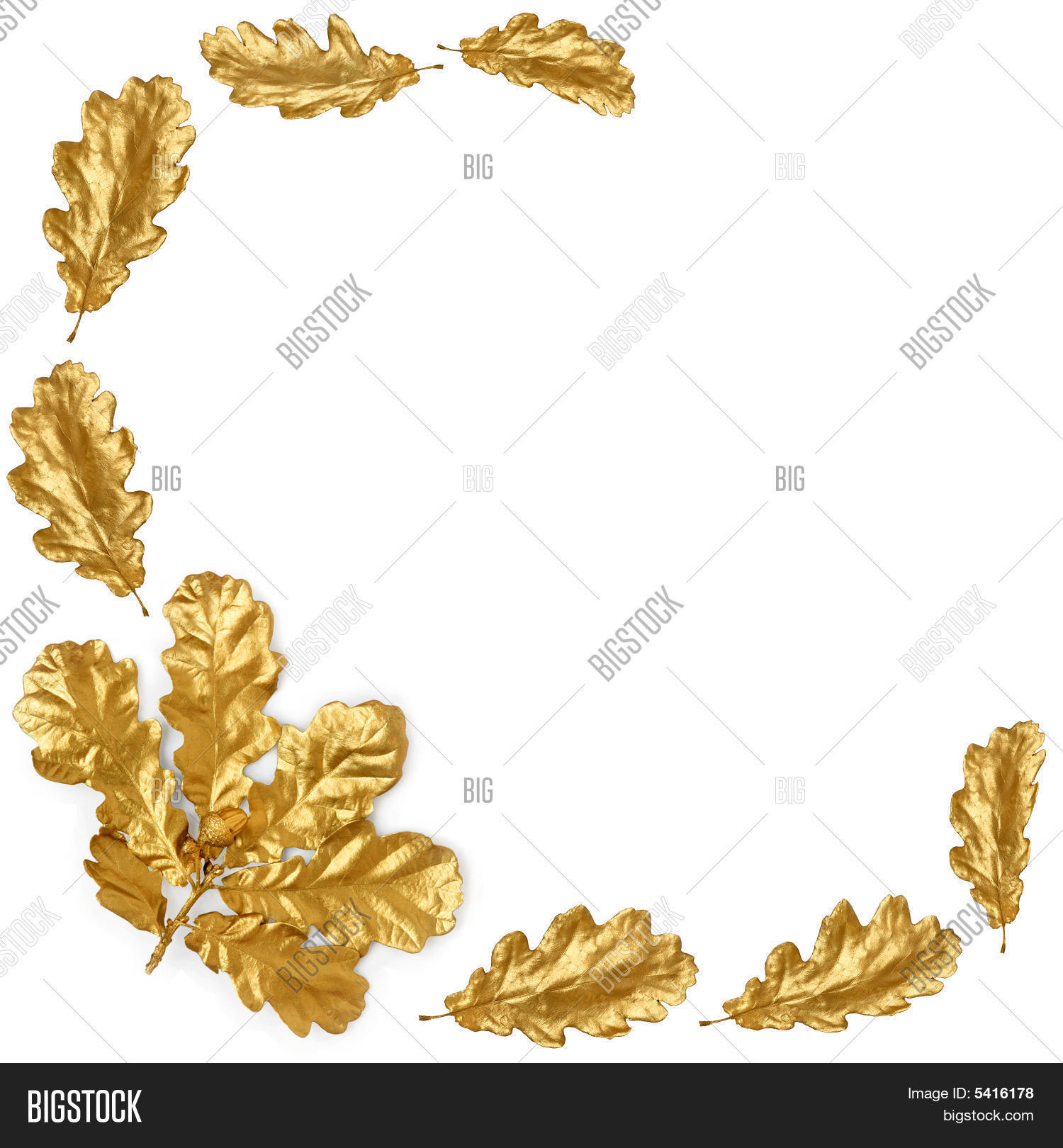 Oak Leaf Border Image & Photo (Free Trial) | Bigstock