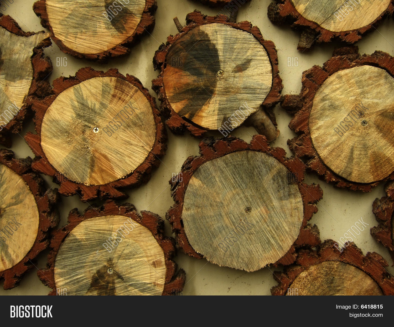 Timber Log Slices Image & Photo (Free Trial) | Bigstock