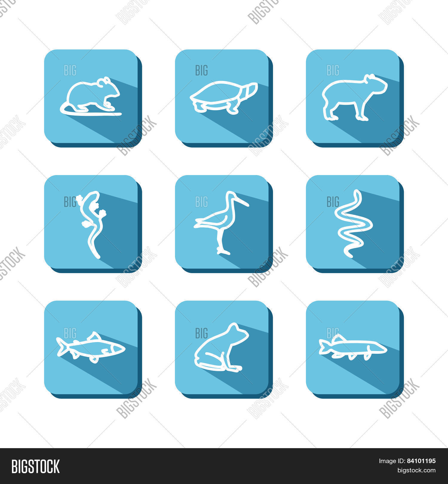 Animals Bogs Vector & Photo (Free Trial) | Bigstock