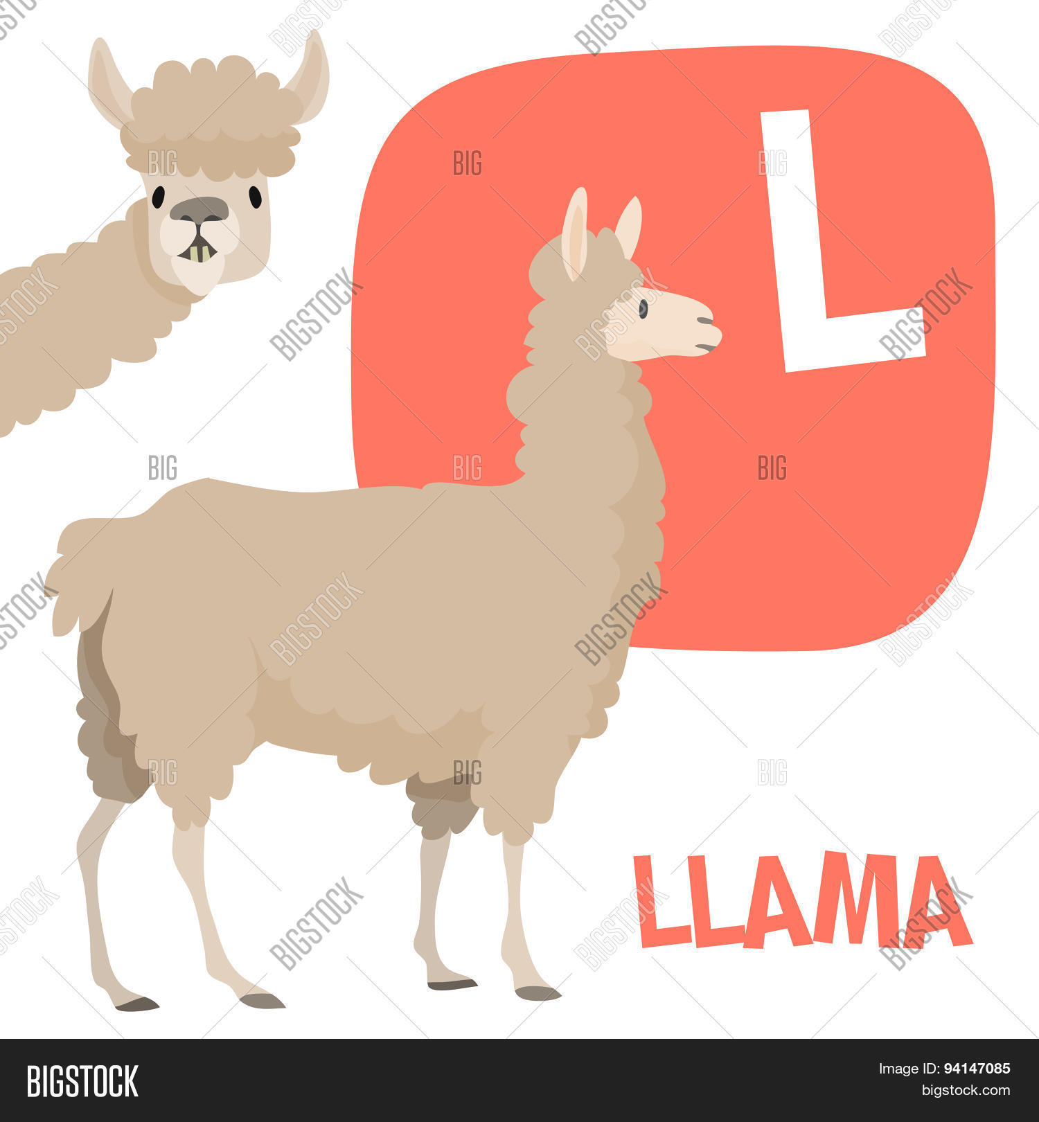 Funny Cartoon Animals Vector & Photo (Free Trial) | Bigstock