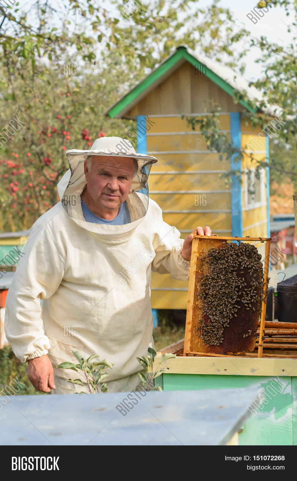 Imagen y foto Beekeeper Working (prueba gratis) | Bigstock