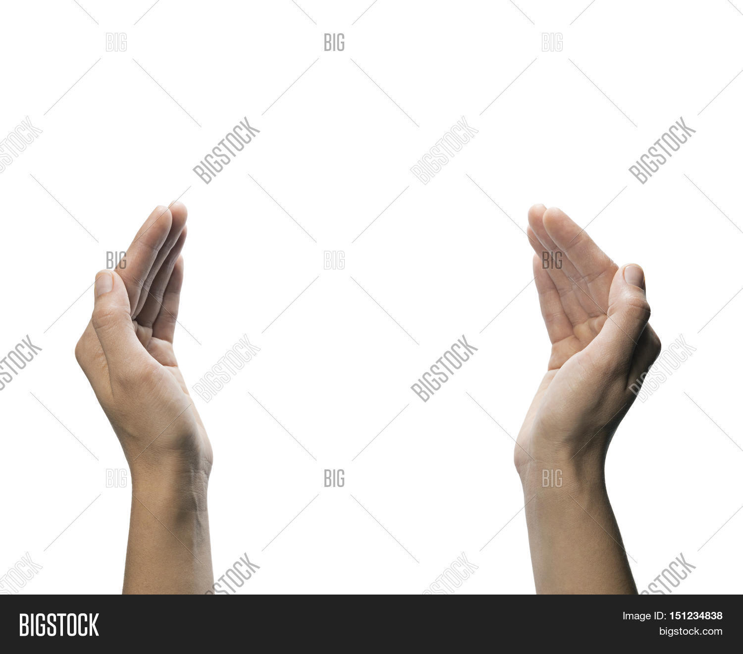 Two Hands Hold Your Image & Photo (Free Trial) | Bigstock