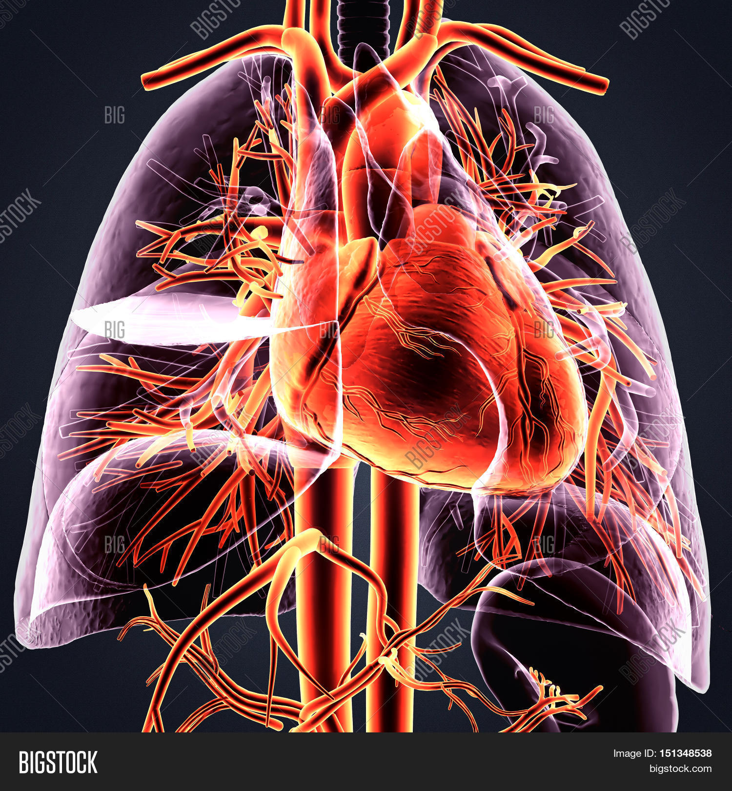 Brain Control Center Image & Photo (Free Trial) | Bigstock