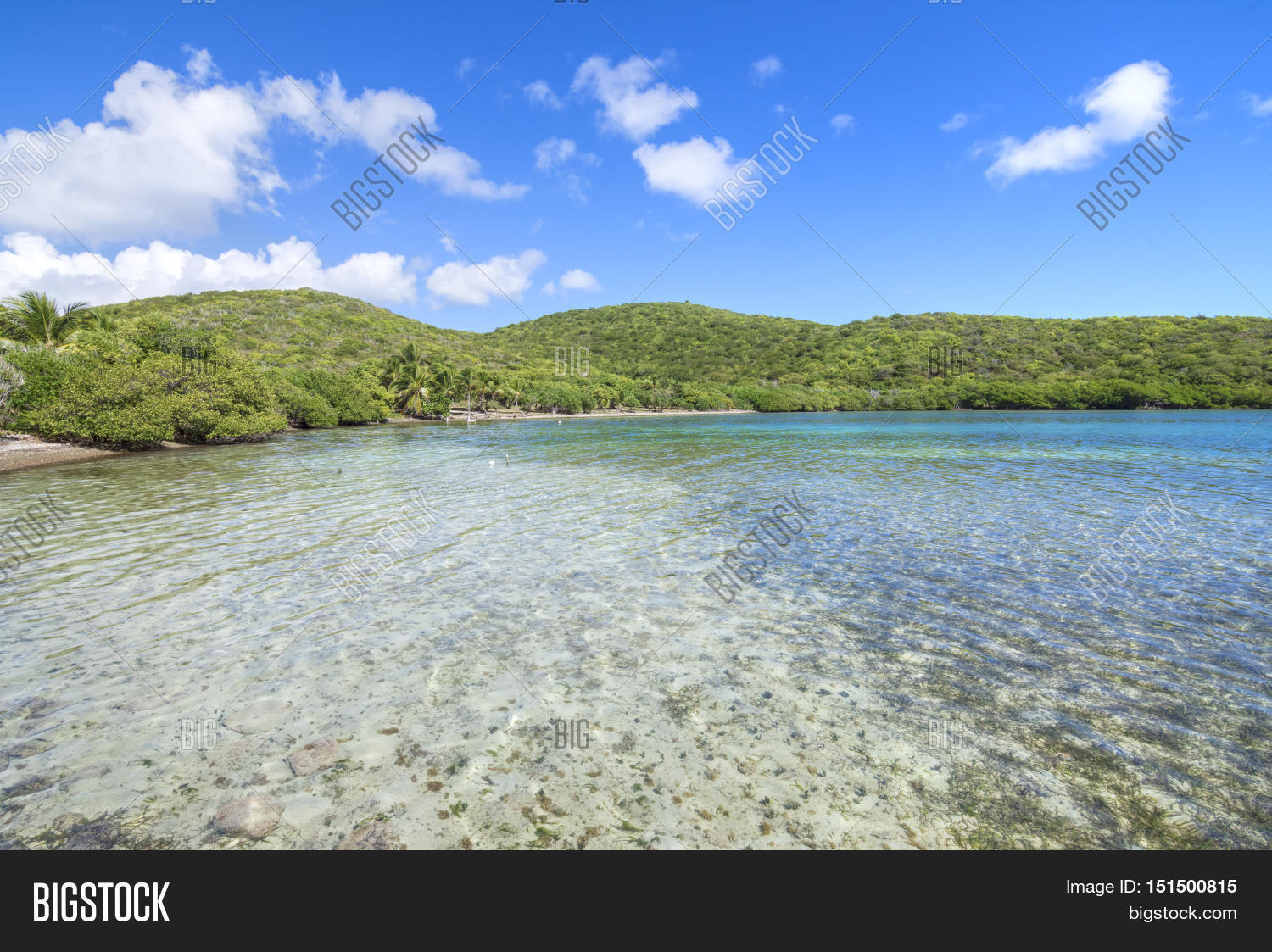 Imagen y foto Calm Shallow Water (prueba gratis) | Bigstock