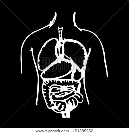 Hand Draw Body Organ Vector & Photo (Free Trial) | Bigstock