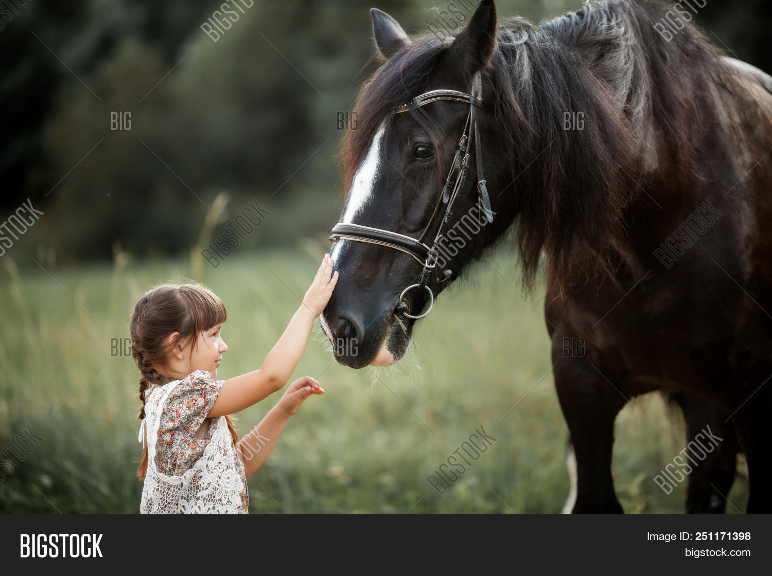 Little Girl Shire Image & Photo (Free Trial) | Bigstock
