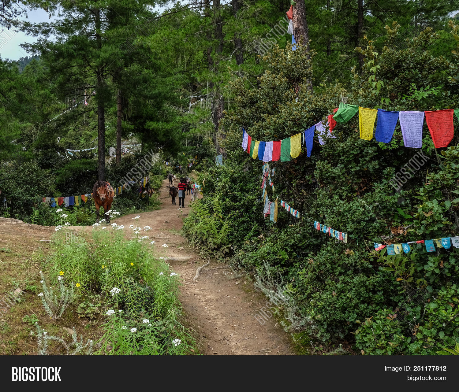 Paro, Bhutan - Sep 3, Image & Photo (Free Trial) | Bigstock