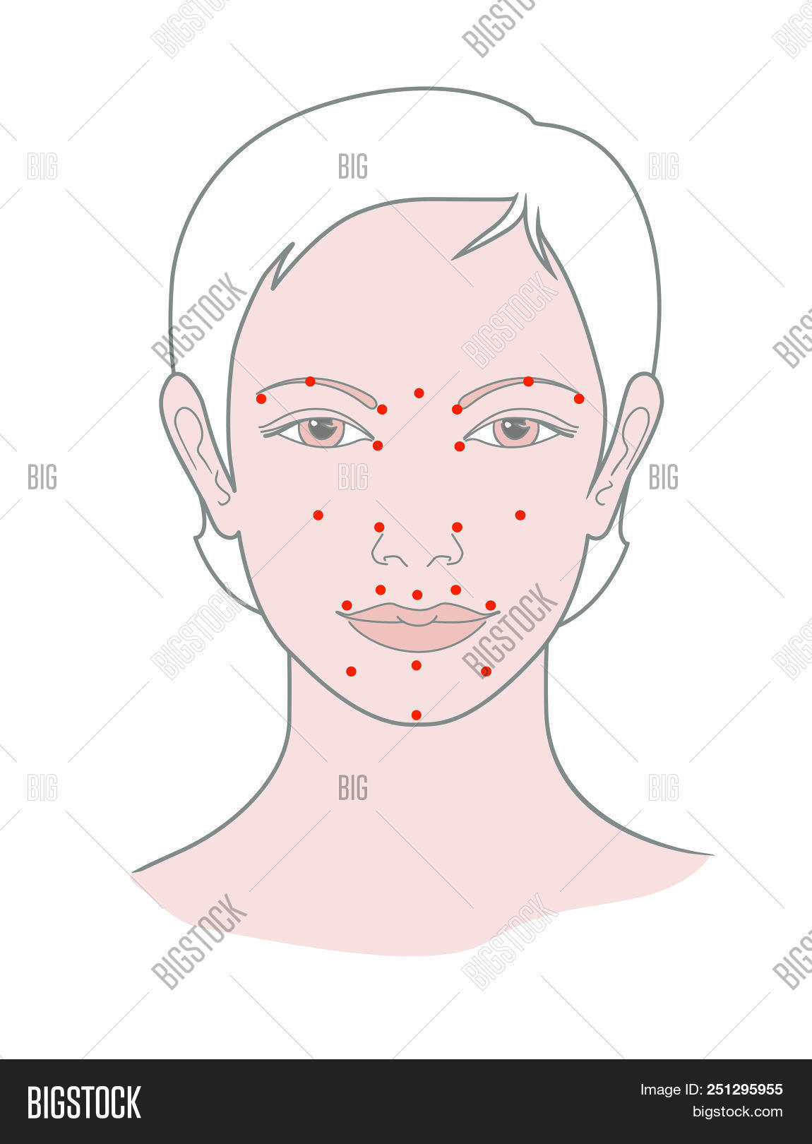 Shiatsu Points Face Image & Photo (Free Trial) | Bigstock