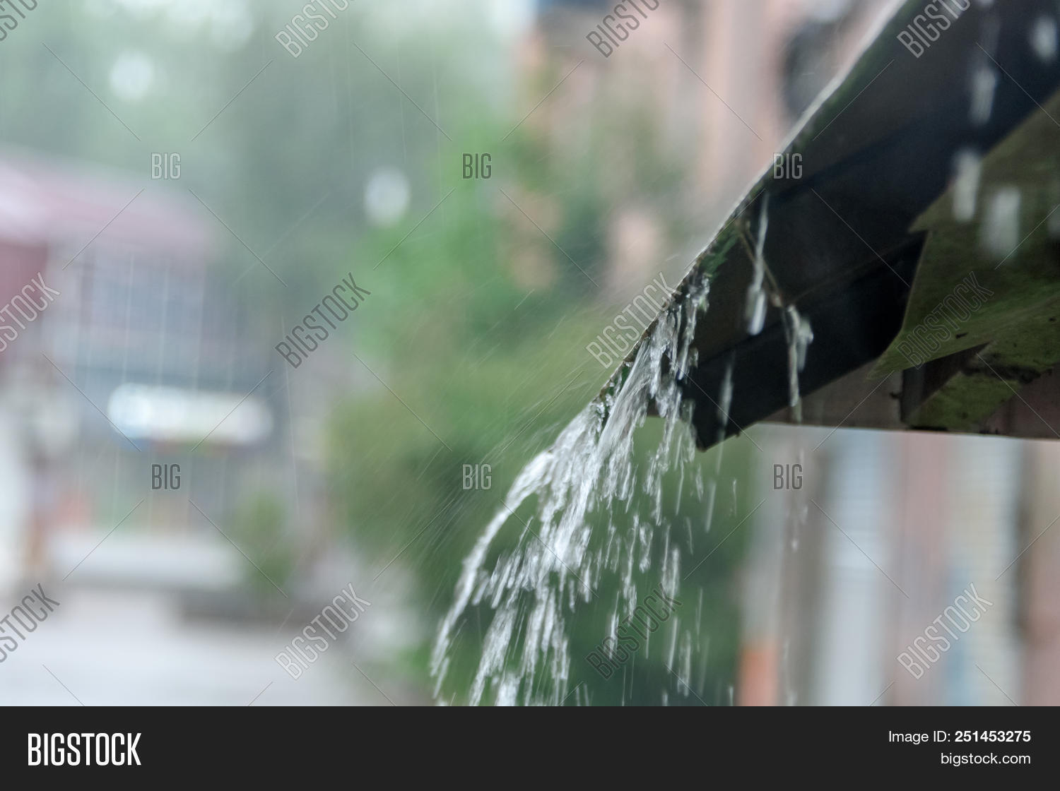 Storm Rain Drips Down Image & Photo (Free Trial) | Bigstock