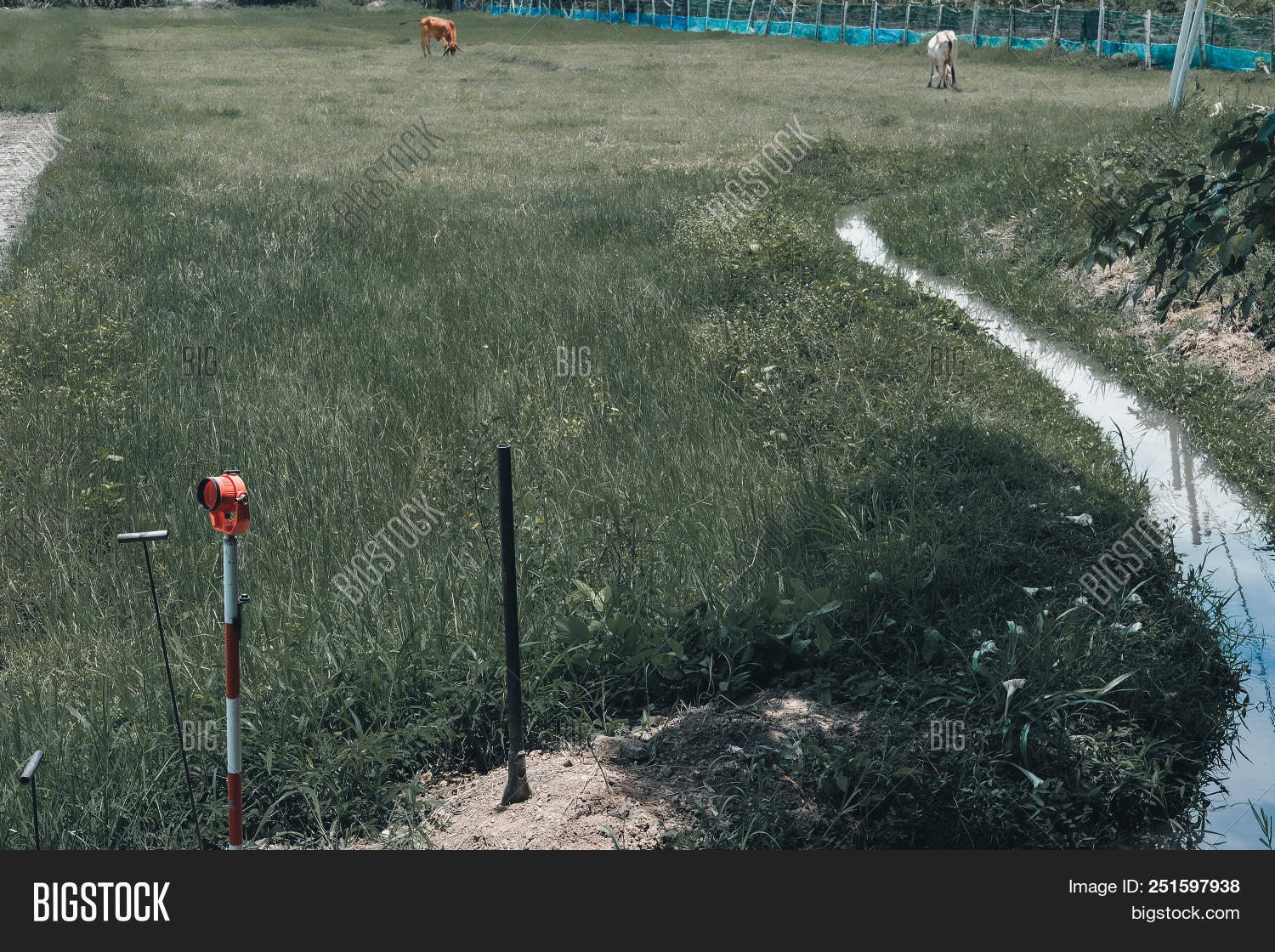 Land Surveyor Using Image & Photo (Free Trial) | Bigstock