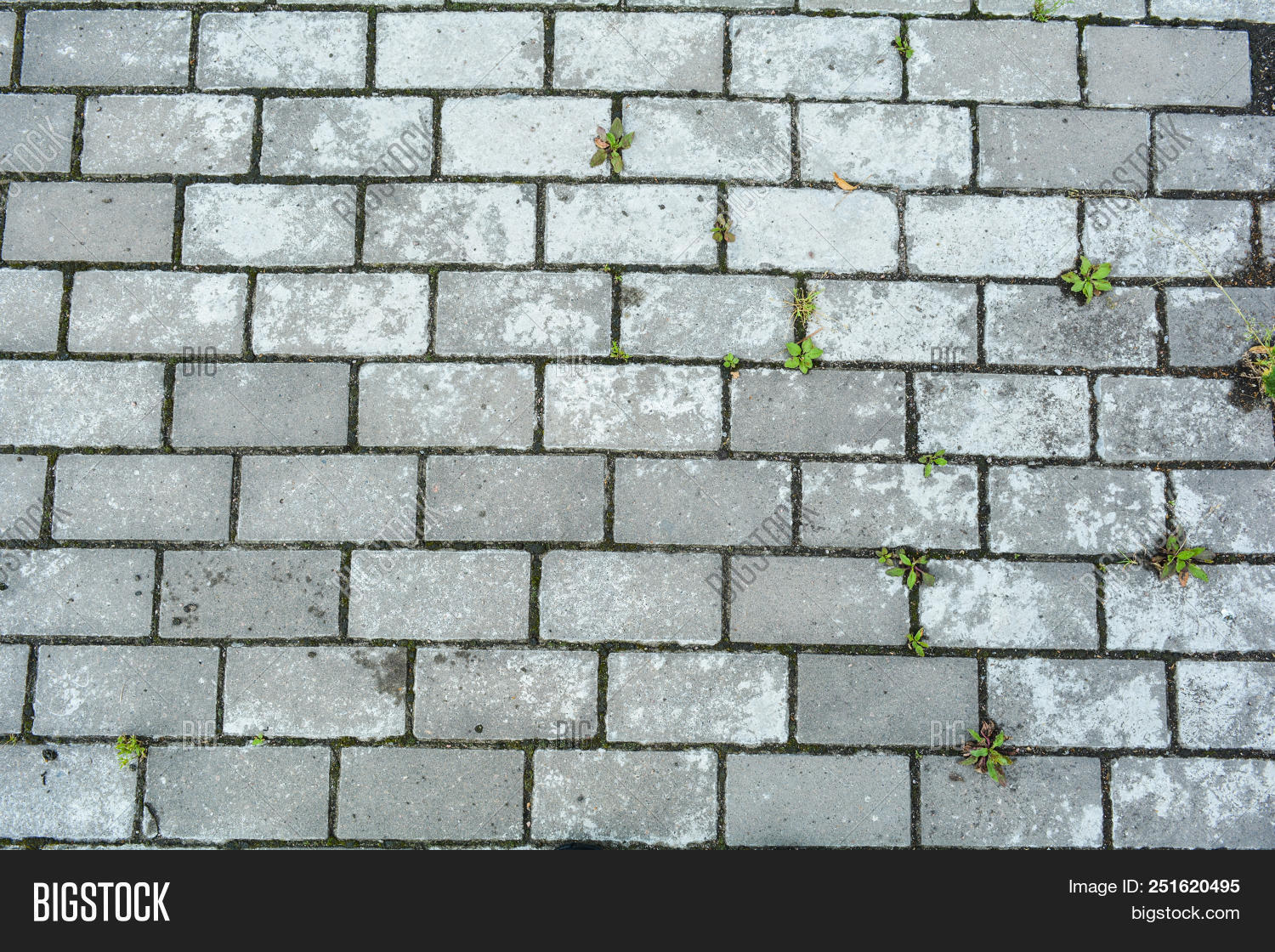Stone Pavement Grass Image & Photo (Free Trial) | Bigstock