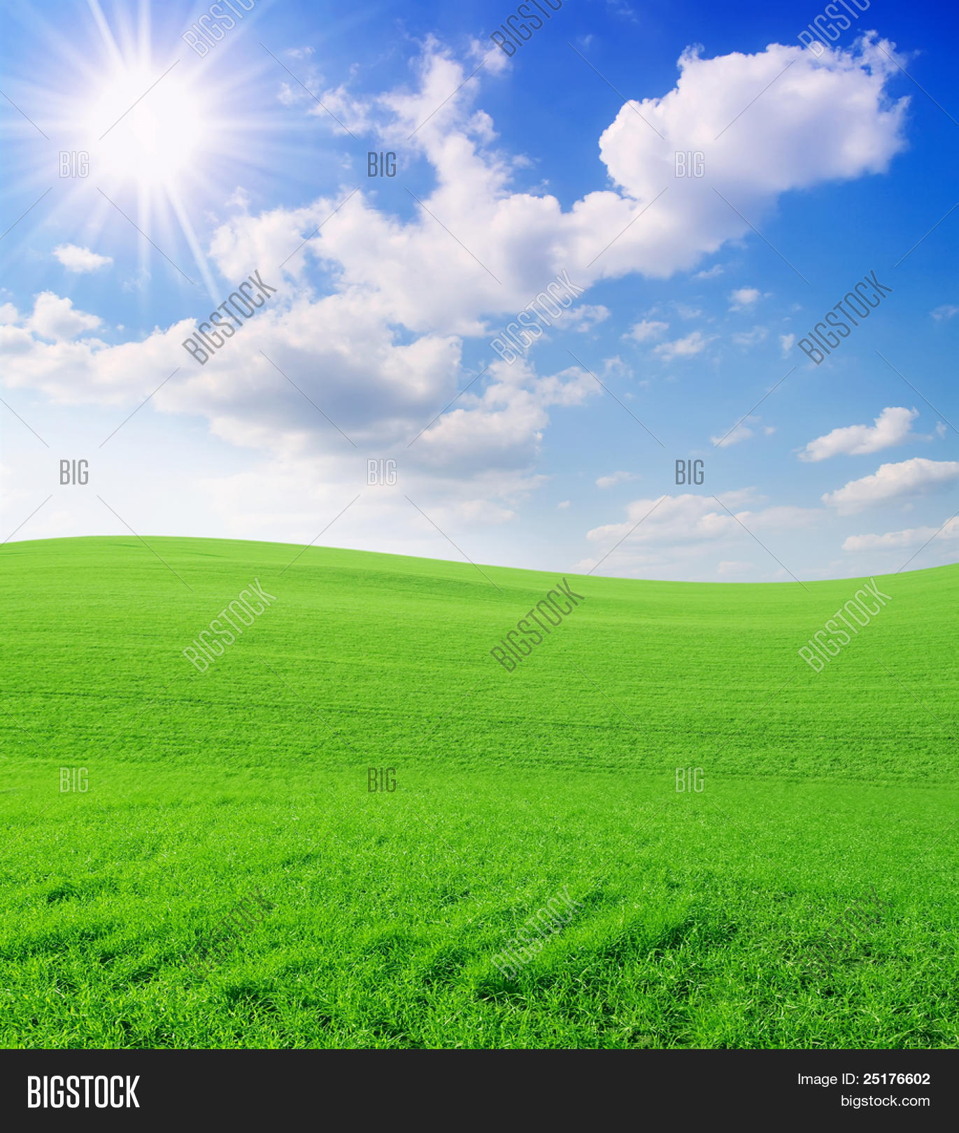 Green Field Sun Sky Image & Photo (Free Trial) | Bigstock